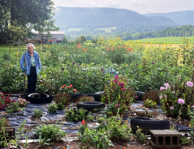 Verna’s Garden: Local woman’s life deeply rooted in the earth | News ...